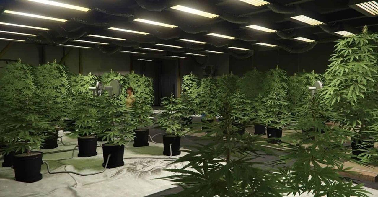 Rockstar Games celebrates "Weed Day" with new GTA Online Update